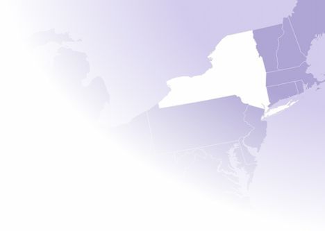 Best PhD and Doctoral Programs in New York 2023: Online/Campus