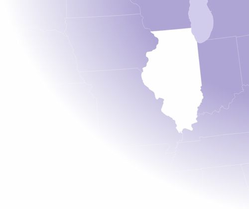 Top PhD Programs in Illinois (IL): Online & Campus